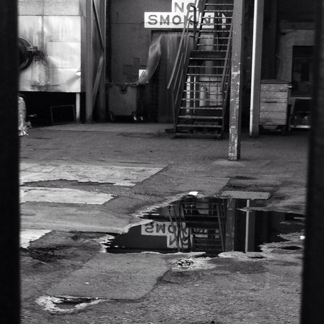 SWOK.... | becah | Blipfoto