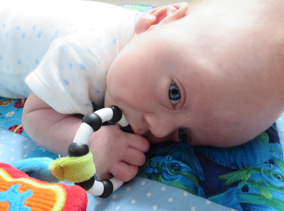 Biting Mr Robot | CyclopsJnr | Blipfoto