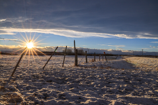 Springbank, Alberta | Lysle_Photo | Blipfoto