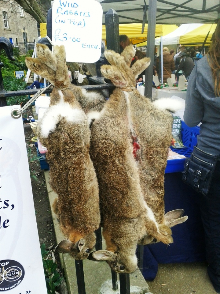 Dead Bunnies | HaxSyn | Blipfoto