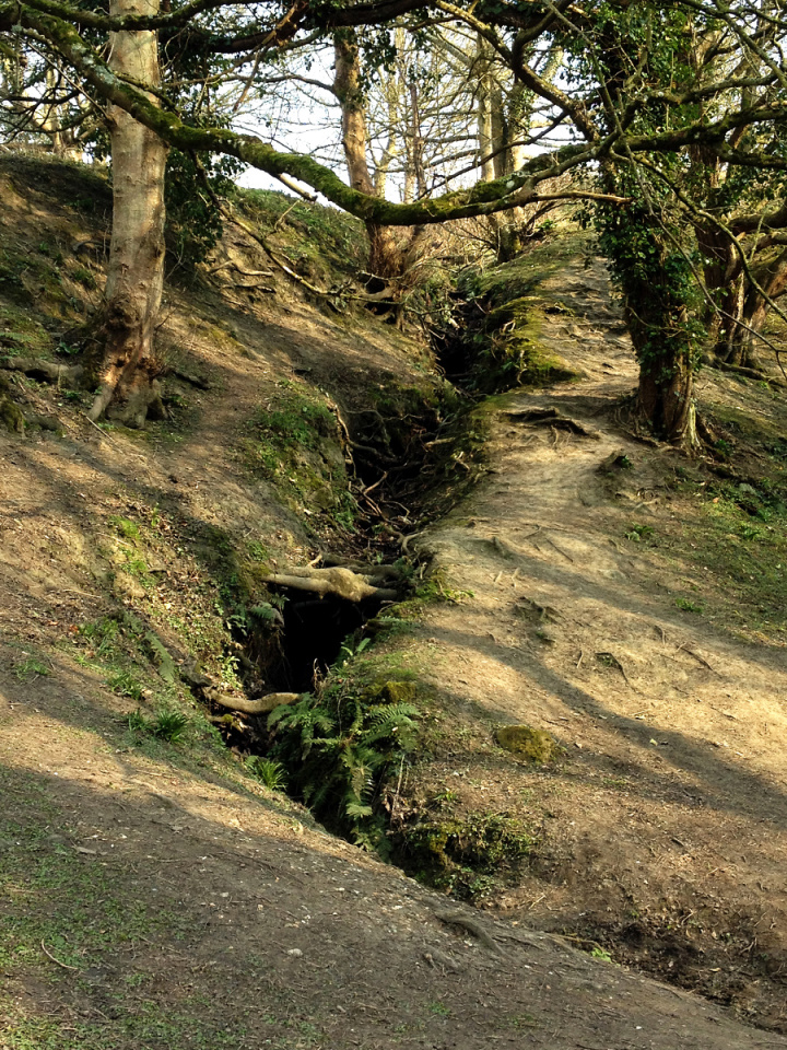 Running down stream | Saffyre | Blipfoto