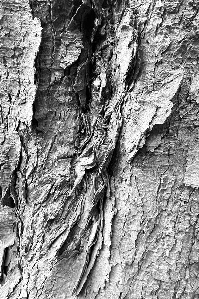 MonoMonday - MM527 - Texture | WeeDragon_J | Blipfoto