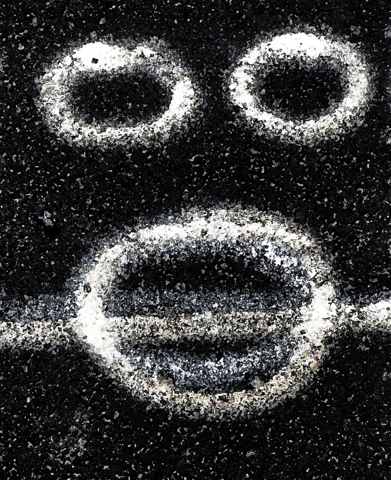 Freakin Legend | drewzealand | Blipfoto