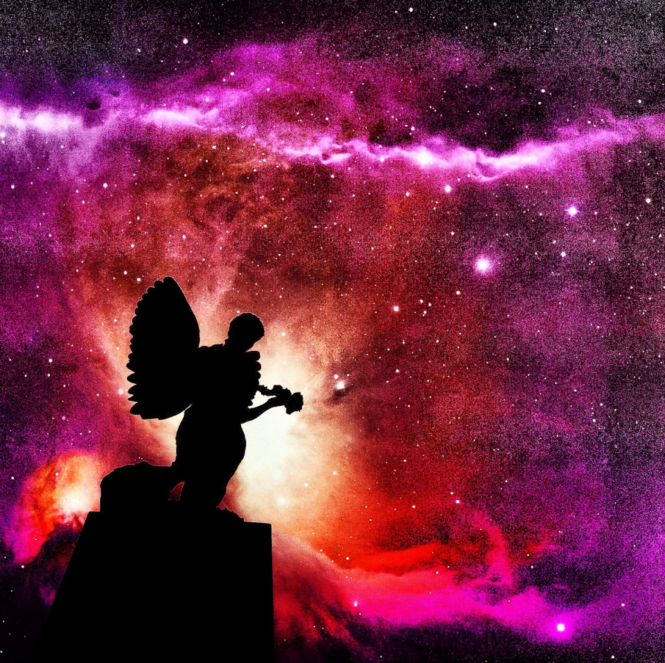 Watching over creation | appertunity | Blipfoto