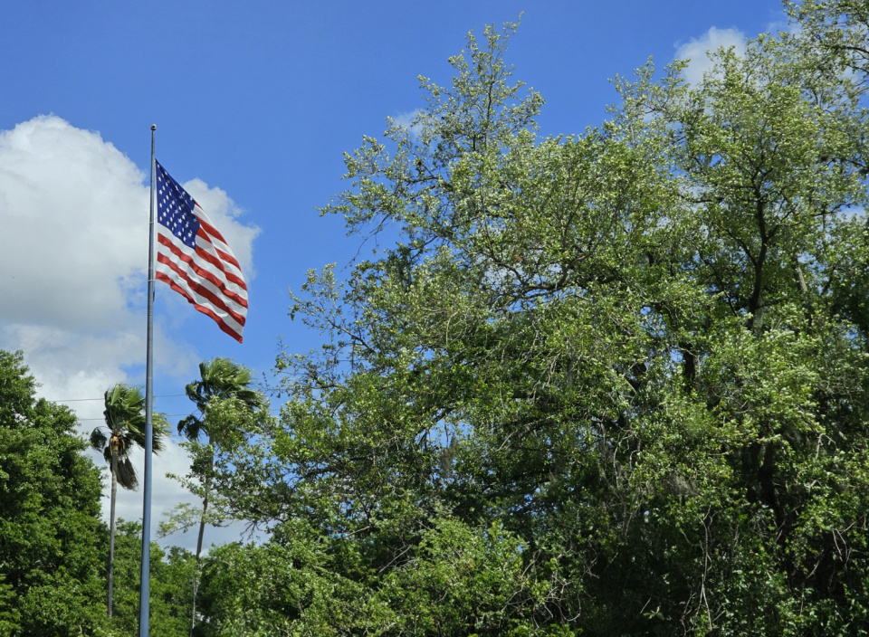 Blue Skies | bugsman | Blipfoto