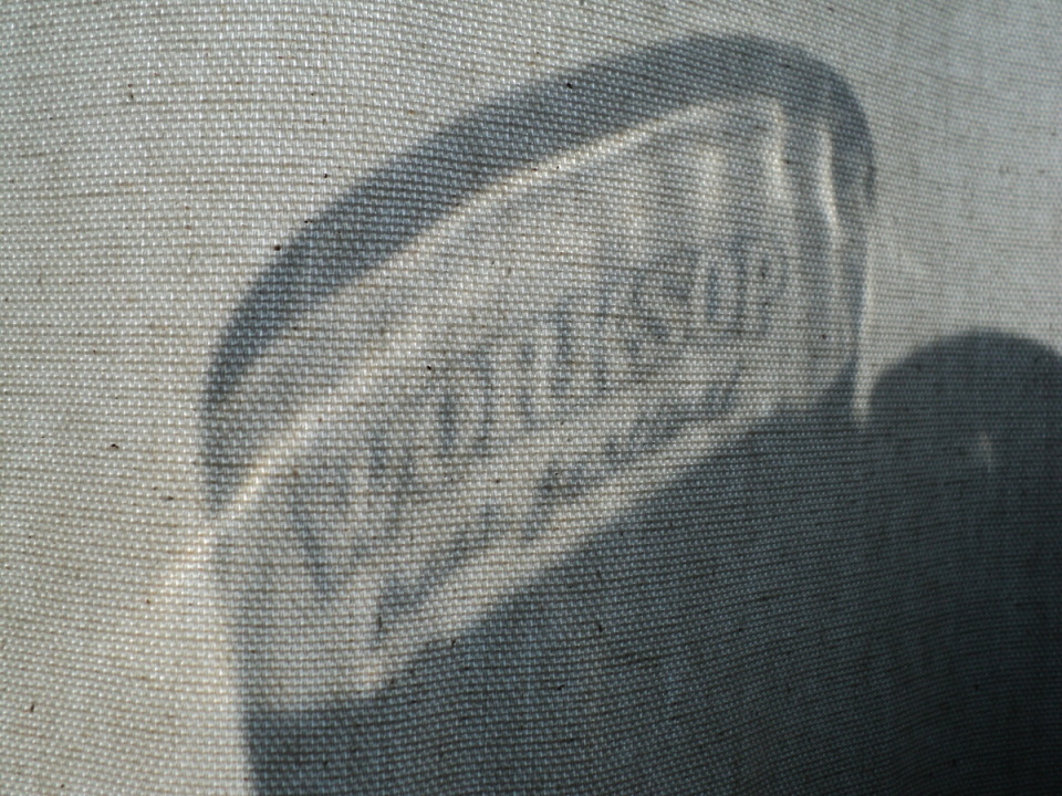 Chalice in Wonderland | stillframe | Blipfoto