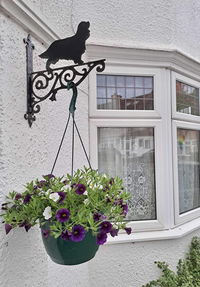 Busy day | Emsie | Blipfoto