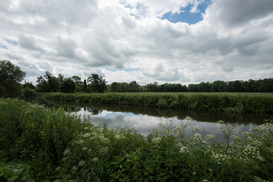 Overgrown river bank | NickyR | Blipfoto