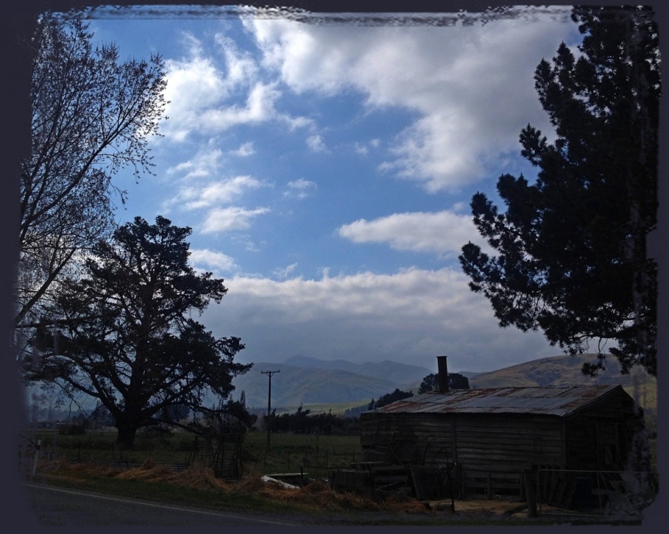 Dunback East Otago | ambleler | Blipfoto