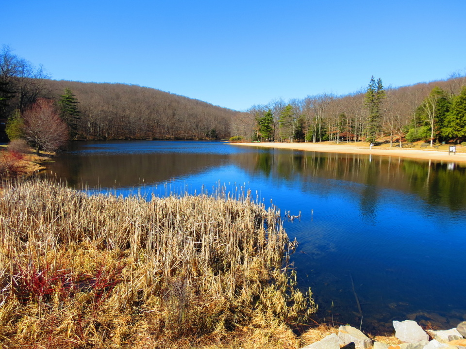 Black Moshannon | GirlWithACamera | Blipfoto