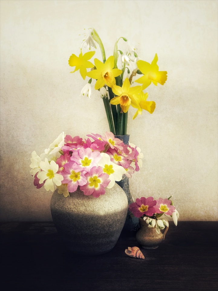 spring | sk | Blipfoto