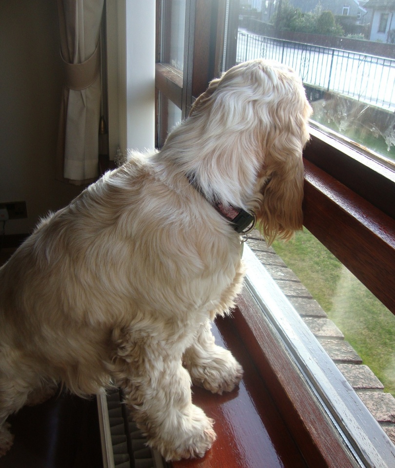 Miss Nosey Parker | MaggieD | Blipfoto