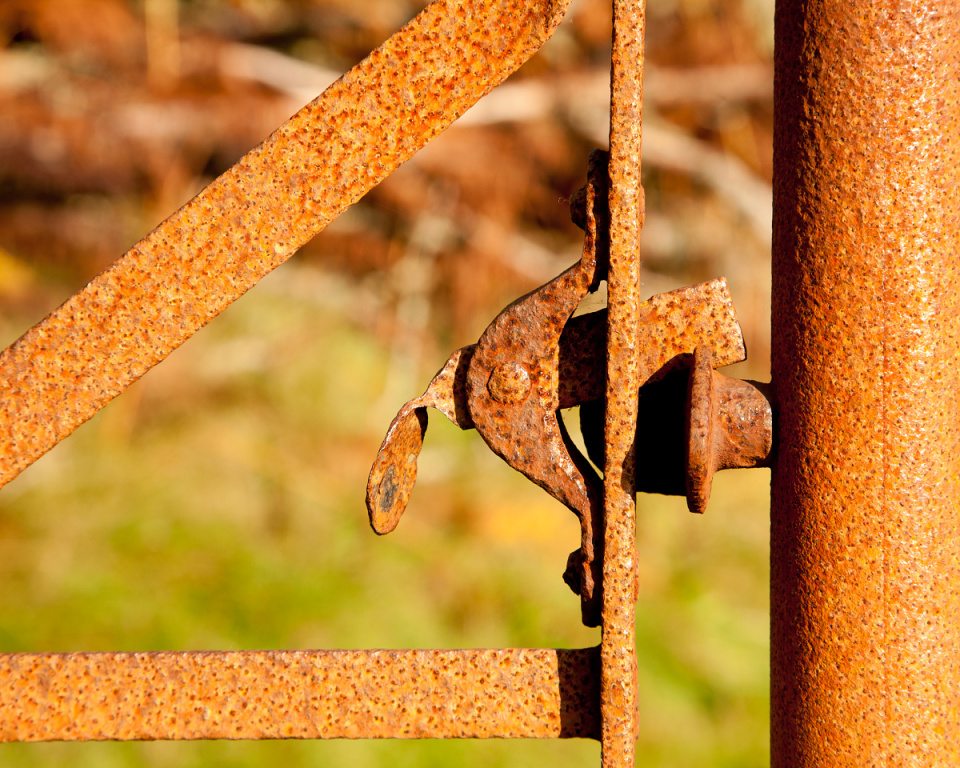 Orange Gate | Picturemull | Blipfoto