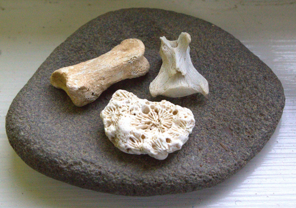 Tiny treasures | TiciaS | Blipfoto