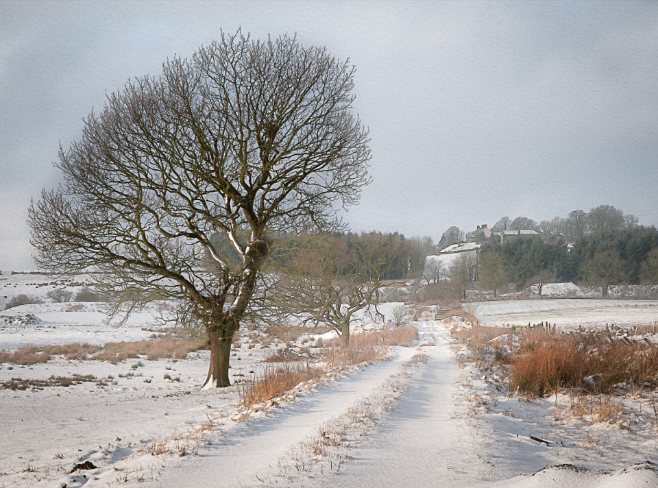 Winter Is Finally Here | BillHenders0n | Blipfoto