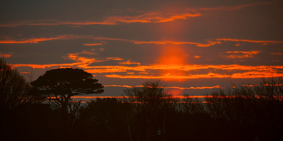 Firebloom | s90man | Blipfoto