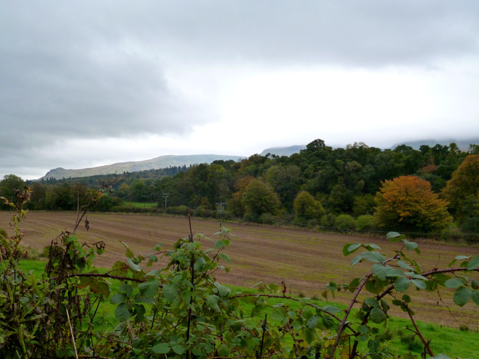 Scunnered! | Freuchie | Blipfoto