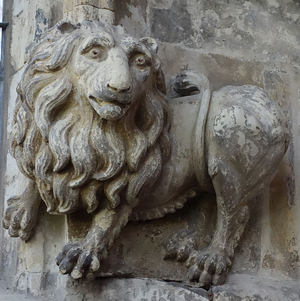 Friendly Lion | TimM | Blipfoto