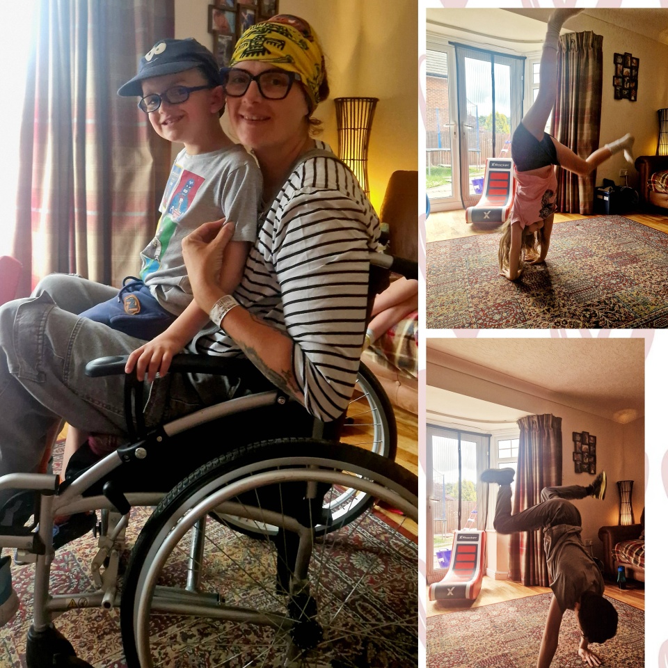 Winston the wheeler | MumOf4Wildlings | Blipfoto