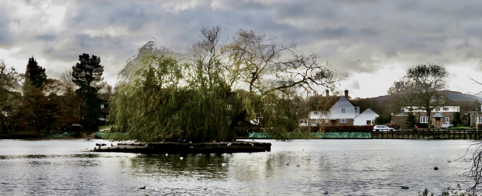 Petersfield Lake | R4T | Blipfoto