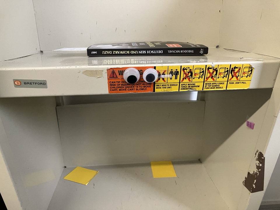 Moore googly eyes! | Diarised | Blipfoto