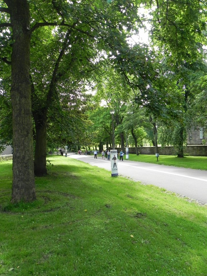 Happy Day on Middle Meadow Walk | lovenature | Blipfoto