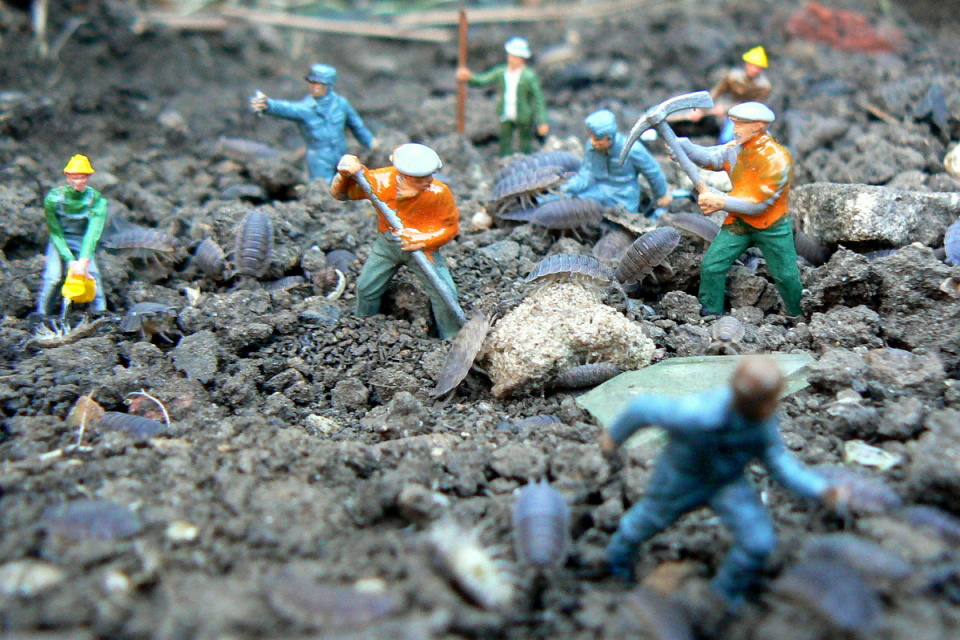 The Insect War Continues | teamdel | Blipfoto