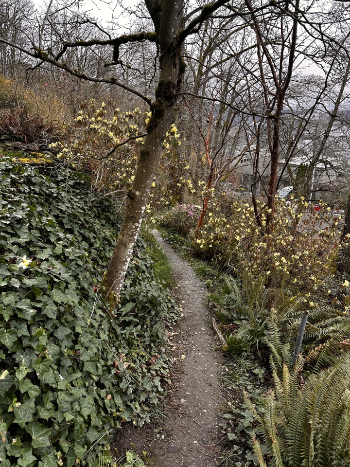 City Path with Spring Flowers | NannaK | Blipfoto