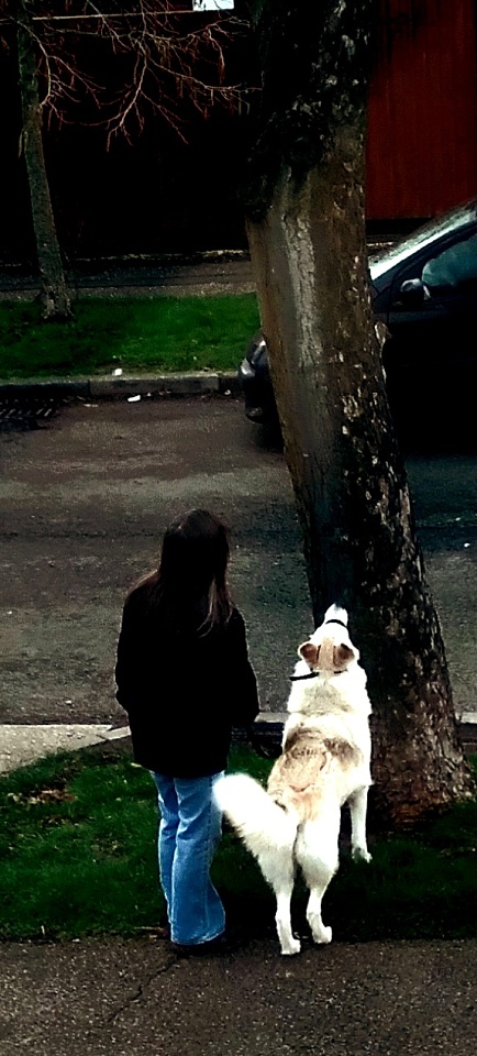 up there... | SteveCatruvI | Blipfoto