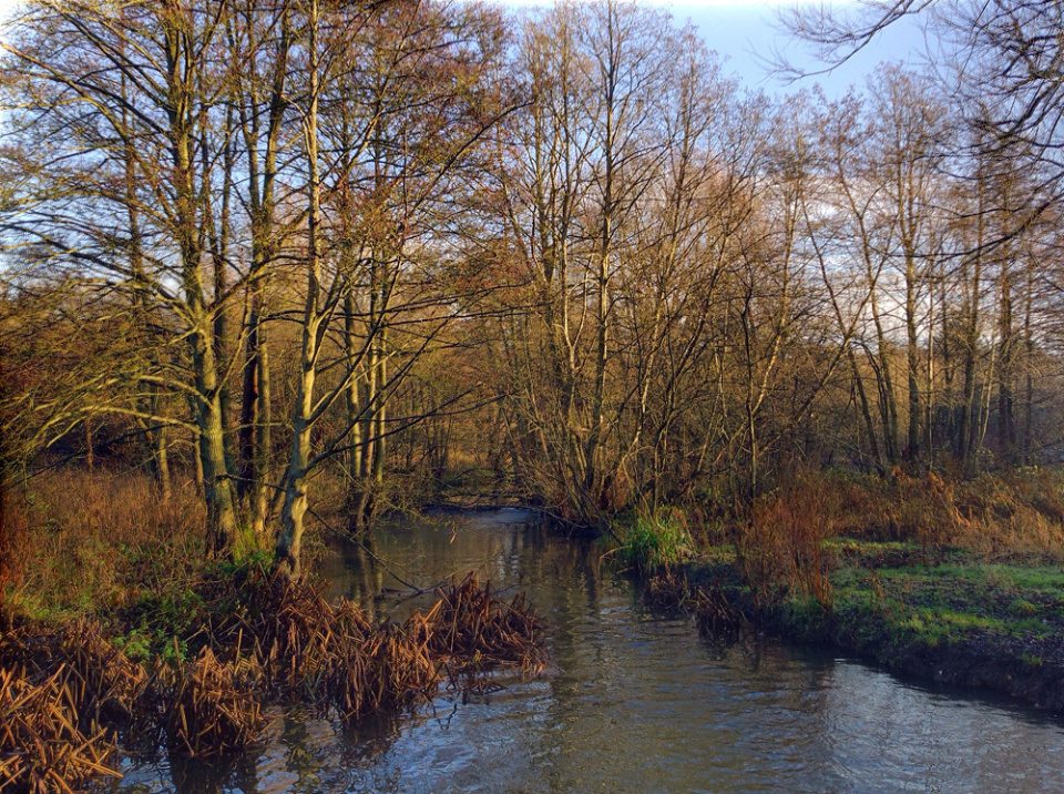 River Len in Mote Park | Tryfan46 | Blipfoto