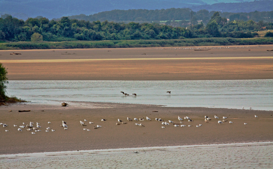 Sandbanks on the River Severn estuary | CleanSteve | Blipfoto