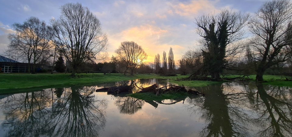 A glorious start to the day on the Fen Causeway | LizMBpics | Blipfoto