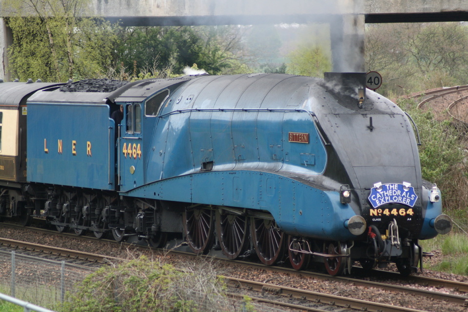 Gresley A4 Pacific 4464 "Bittern" | JohnD | Blipfoto