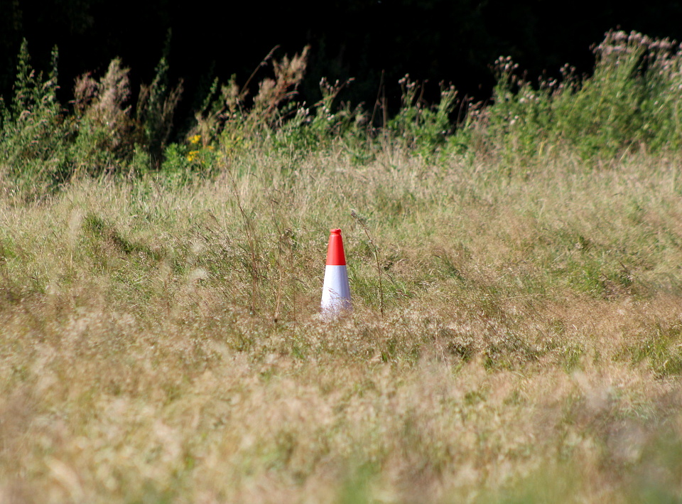 Cone of Destiny! | theBroon | Blipfoto