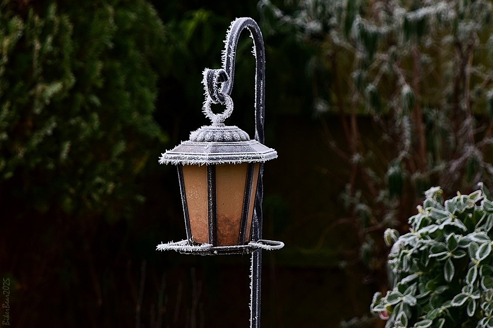 Frosty ................ | BikerBear | Blipfoto