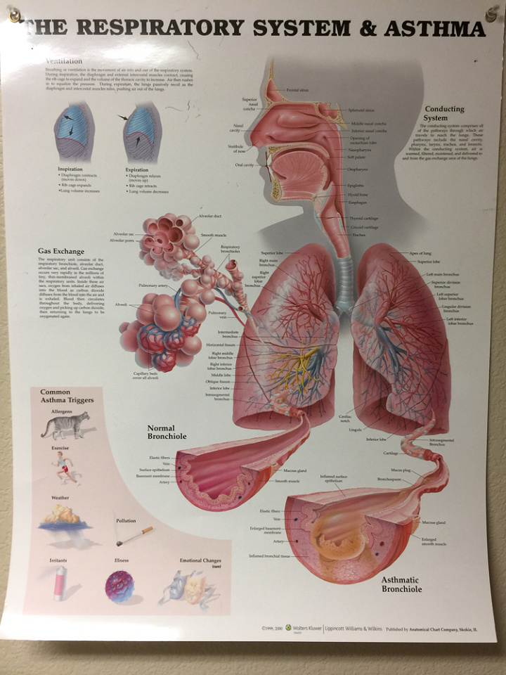 Coughing and spluttering | Aestus | Blipfoto