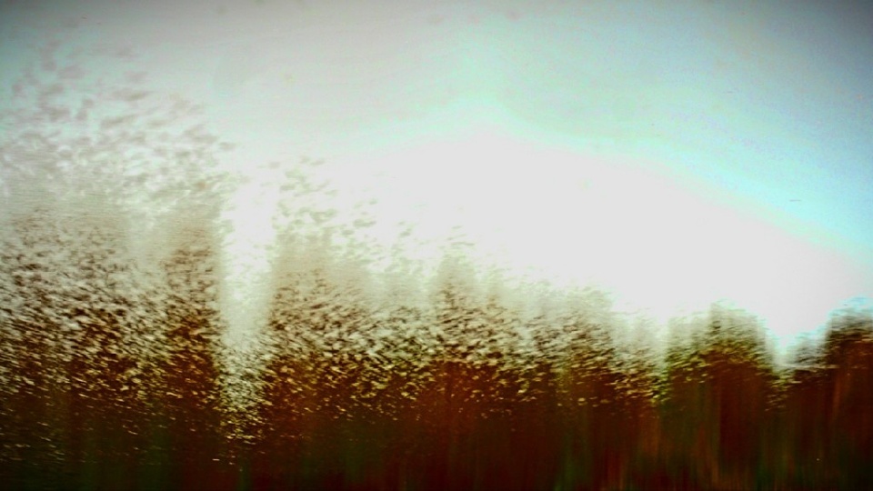 Reflection | AnnieBelle | Blipfoto