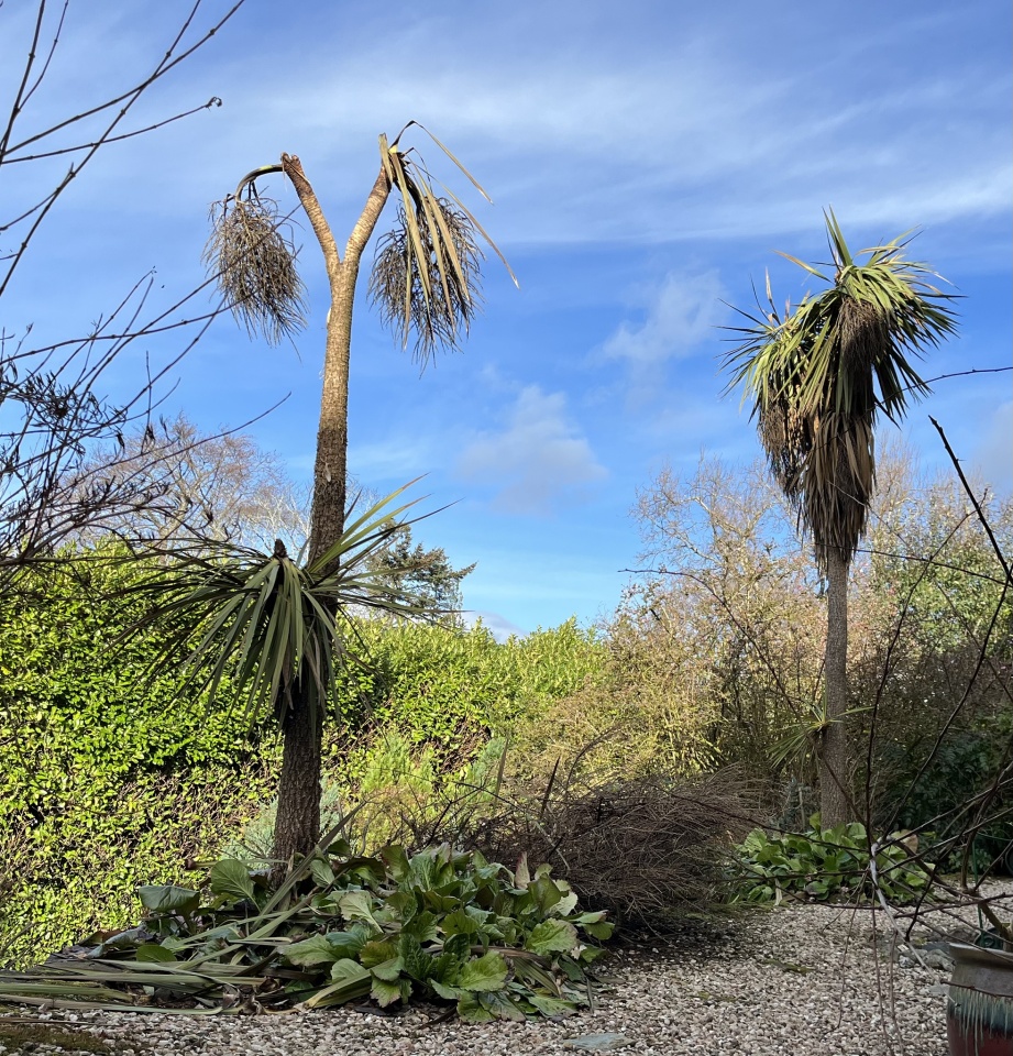 Storm Otto | Libra | Blipfoto