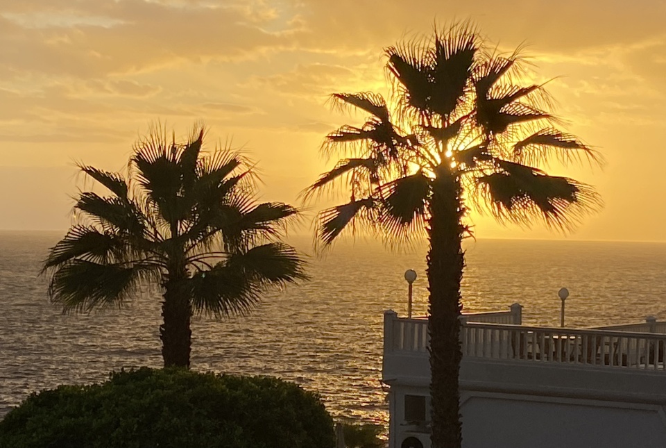 Holiday - Tenerife | Alison666 | Blipfoto