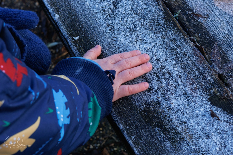 Frosty | JDO | Blipfoto