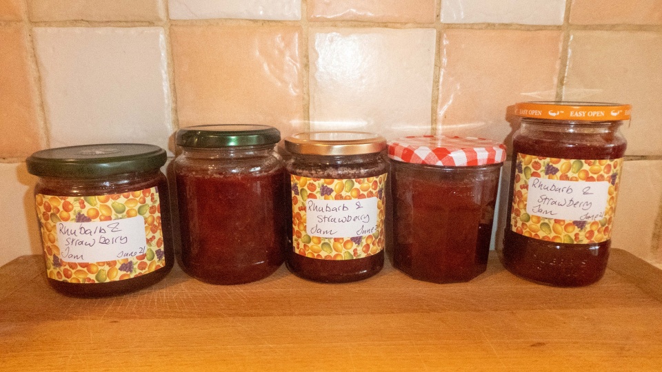 Jam | Puffin | Blipfoto