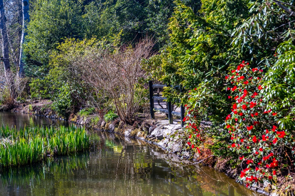 Mainly Green | Robin | Blipfoto