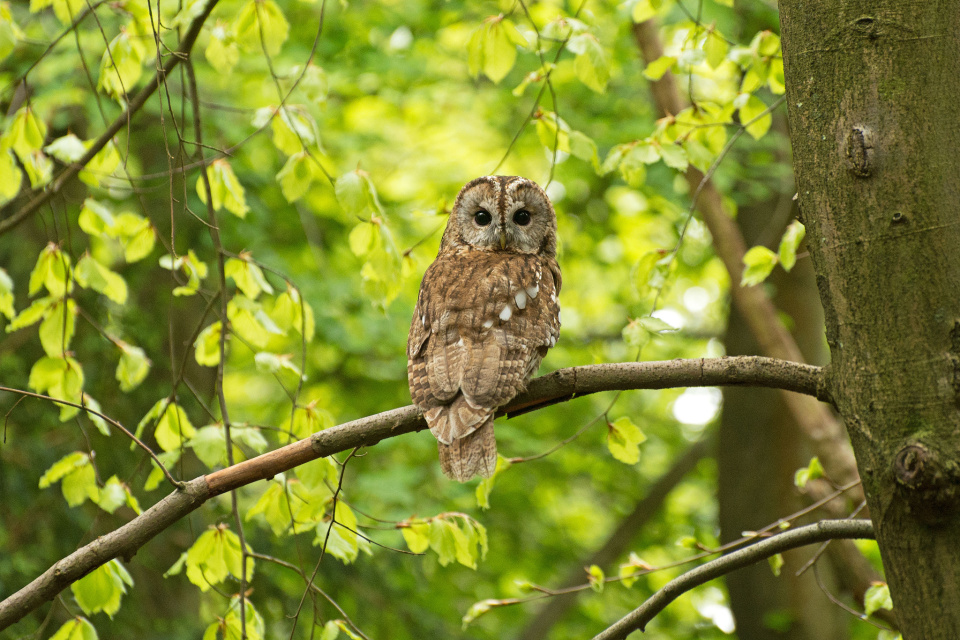 Looking back | gladders | Blipfoto