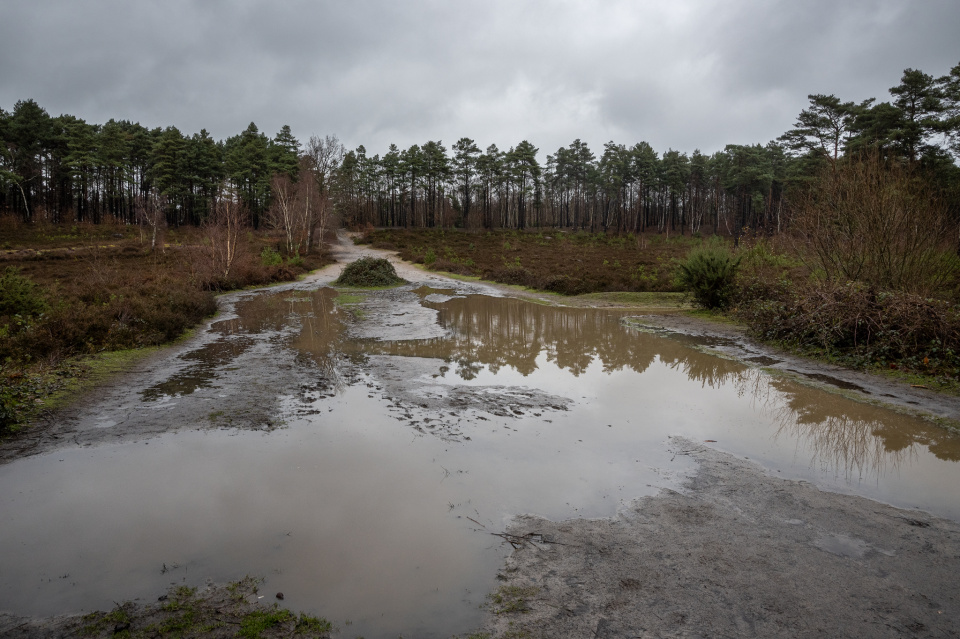 Wet and soggy | NickyR | Blipfoto