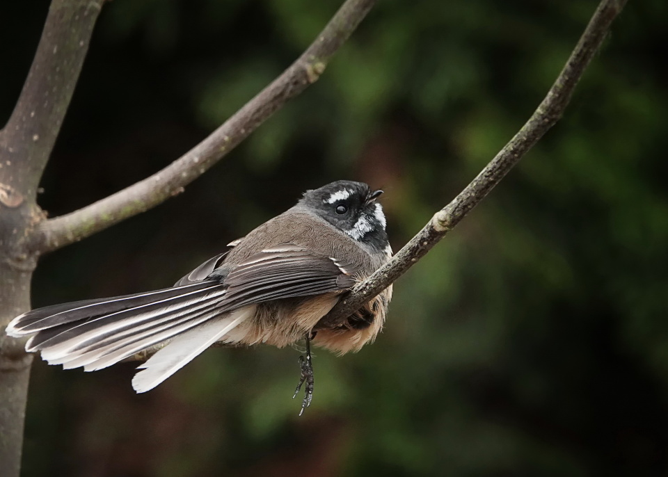 Hanging Out | rainie | Blipfoto