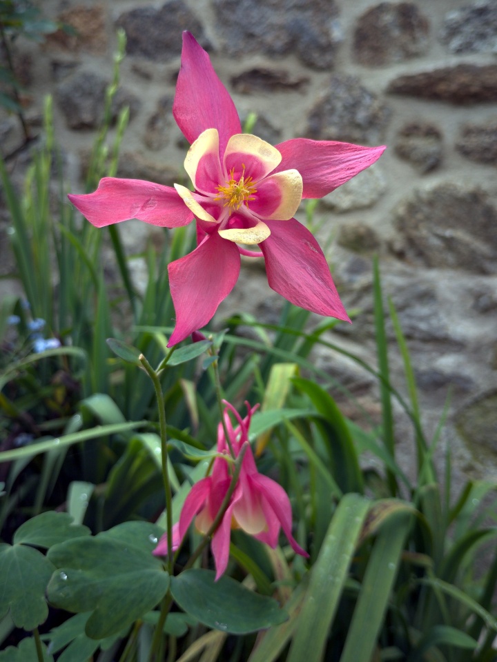 Looking up | ajt | Blipfoto