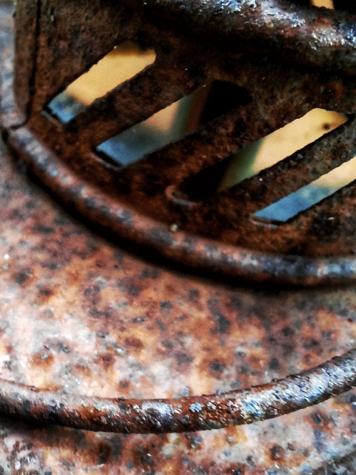 TinyTuesday...Rusty | evolybab | Blipfoto