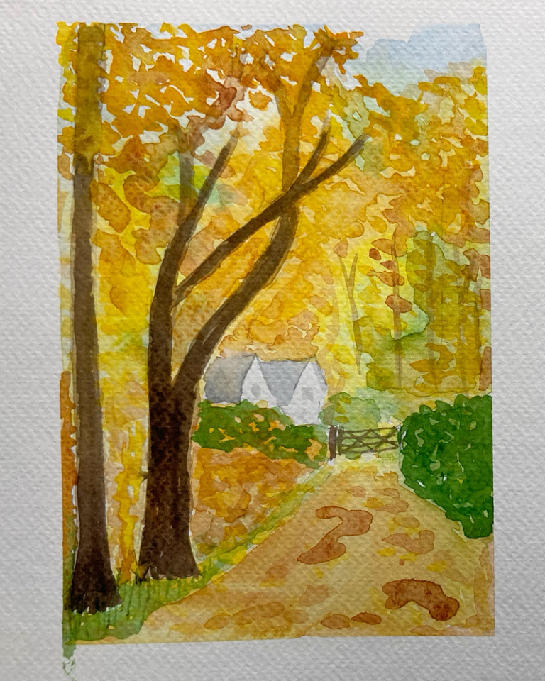 Worsley woods | FionaRobinson | Blipfoto