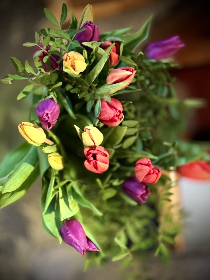 i was surprised by the... | catoblips | Blipfoto