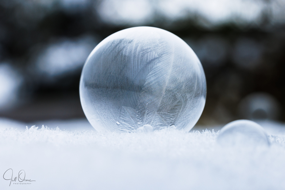 Freezing | JDO | Blipfoto